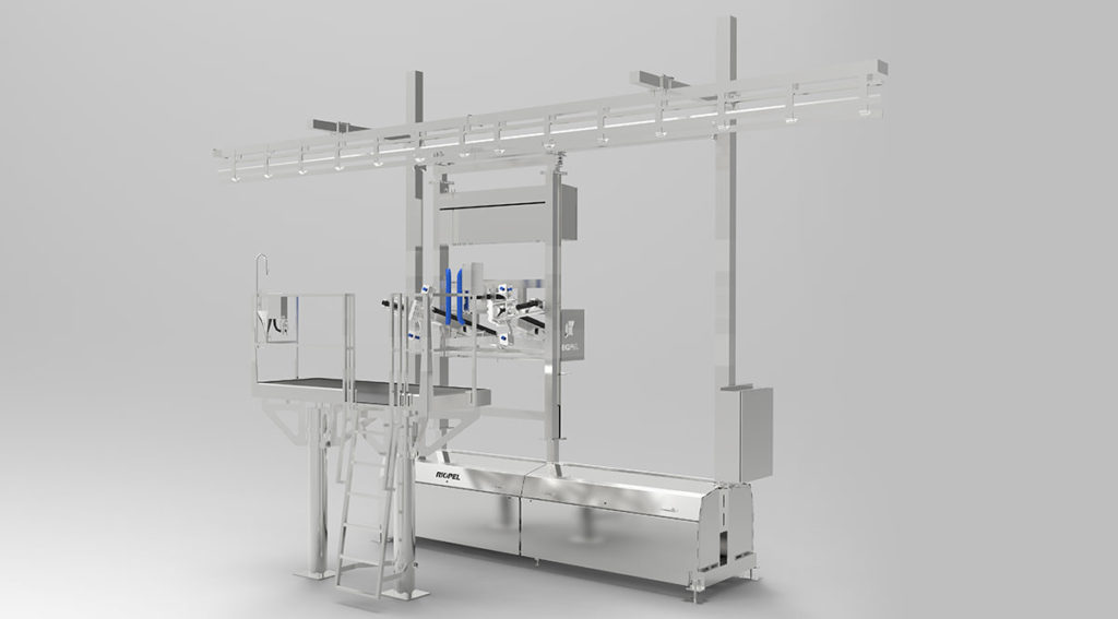 Cattle slaughter and cutting, Riopel slaughter equipment